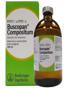 Buy Buscopan Injection for Horses | Rapid Relief for Colic & Spasm