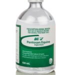 Exzolt Oral Solution 50ml | Buy Online for Poultry Mite Control